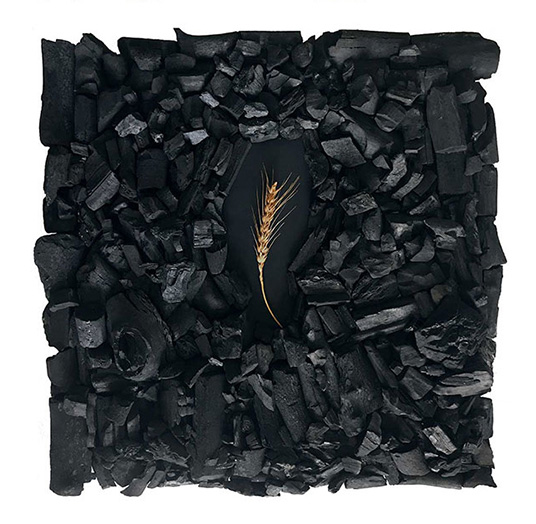Taedĭum Vitae III (Sobre el Endémico Tedio Hastío) New Media Arte Digital